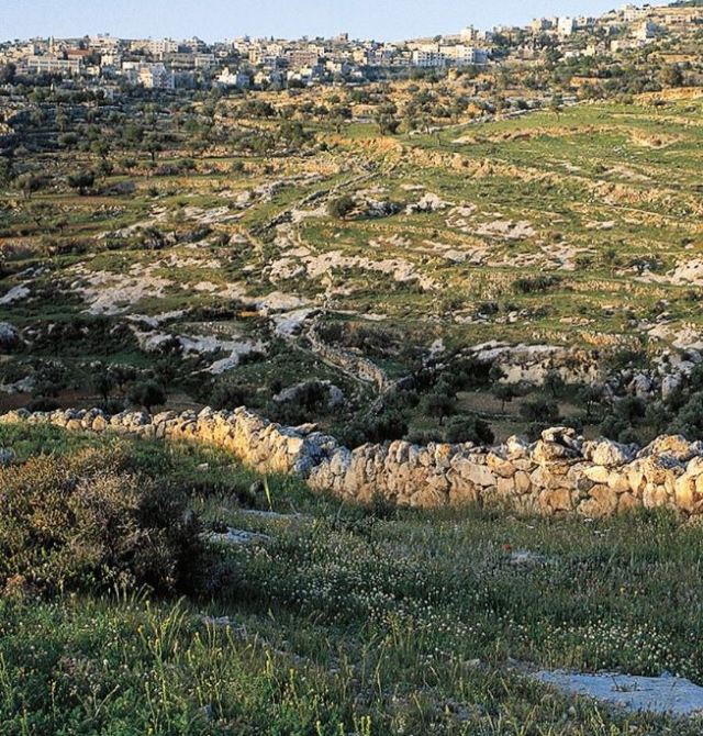 Jesus, Our Lamb and Our Shepherd: Lessons from Bethlehem – Looking for ...