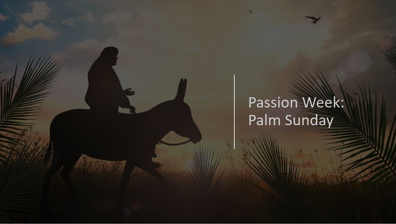 Passion Week Meditations: Palm Sunday – Looking for the Blessed Hope