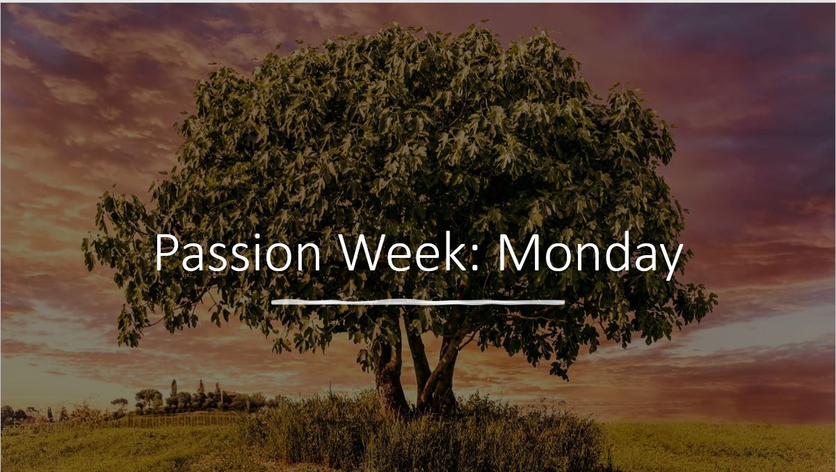 Passion Week Meditations: Monday – Looking for the Blessed Hope