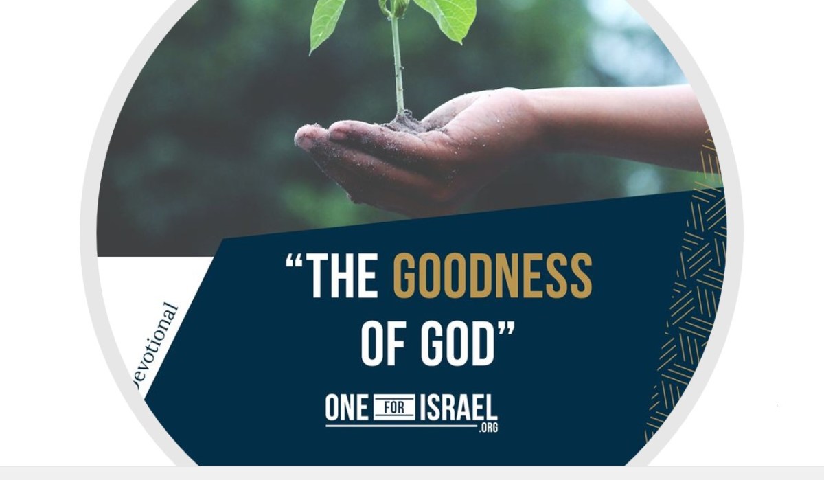 Understanding the “Hesed” of God – Looking for the Blessed Hope