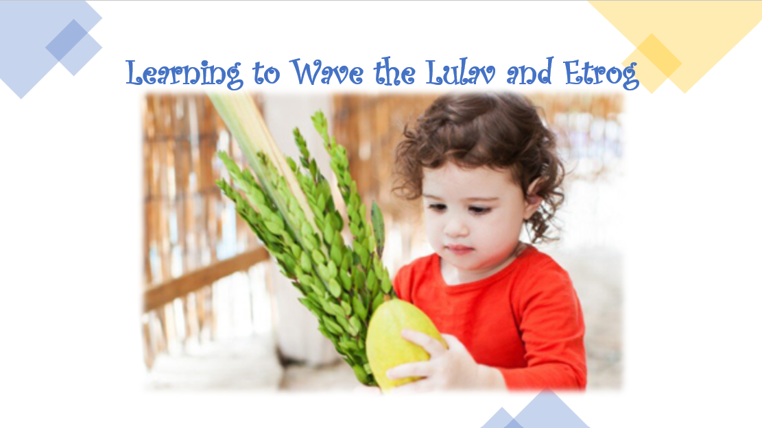 Waving the Lulav and Etrog During Sukkot – Looking for the Blessed Hope